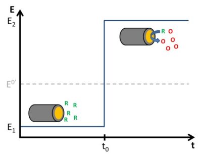 The Cottrell Experiment and Diffusion Limitation 2/3 - The Cottrell ...
