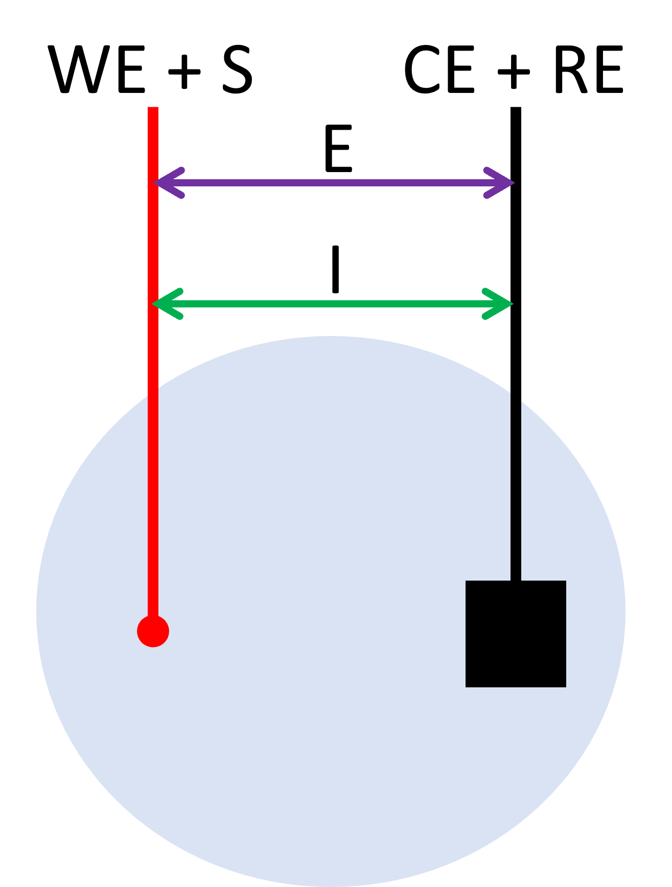 2, 3 and 4-Electrode System & Sense Lead - PalmSens